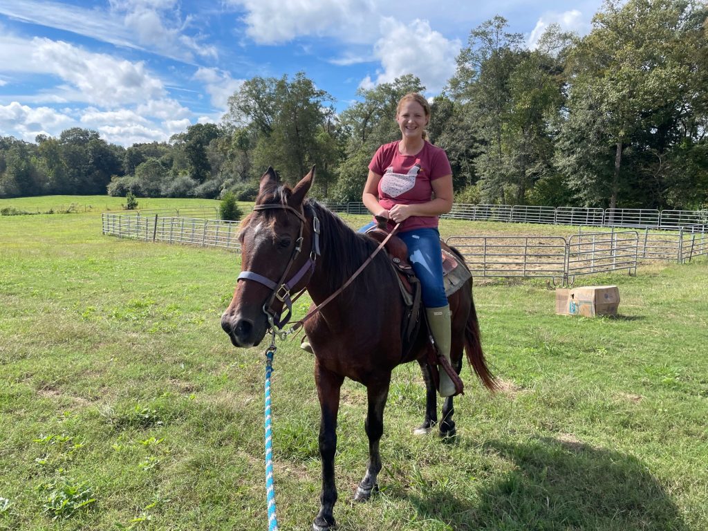 Farm Animals - Yellowleaf Creek Stables and Farm